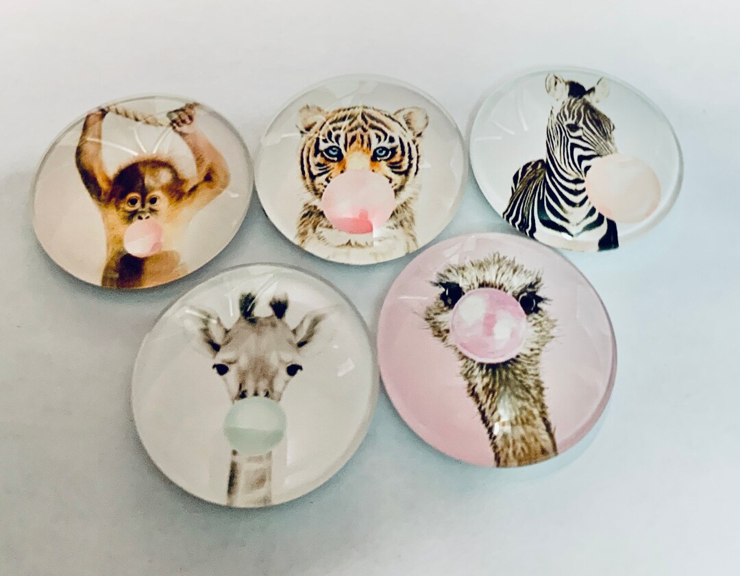 Animal Magnet, 5 30mm Fun Animal Magnets, Animals and Bubblegum, Monkey ...
