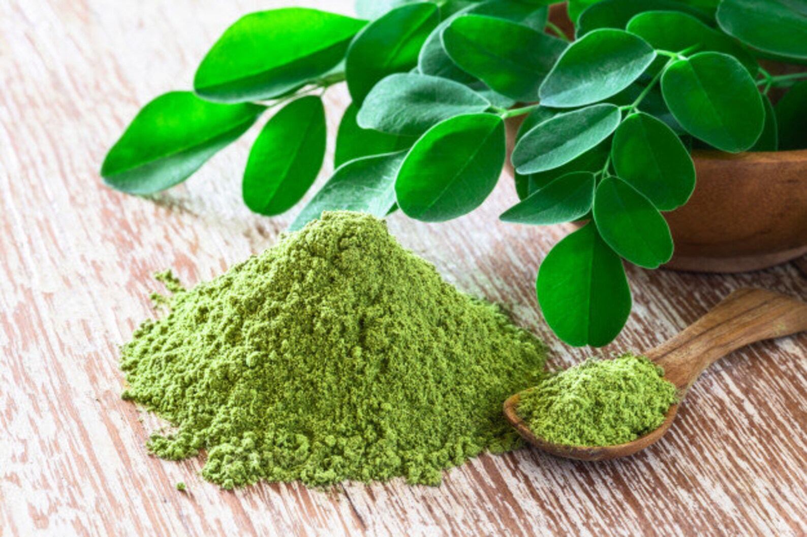 Dried Moringa Leaves Organic Moringa Oleifera Handcrafted - Etsy