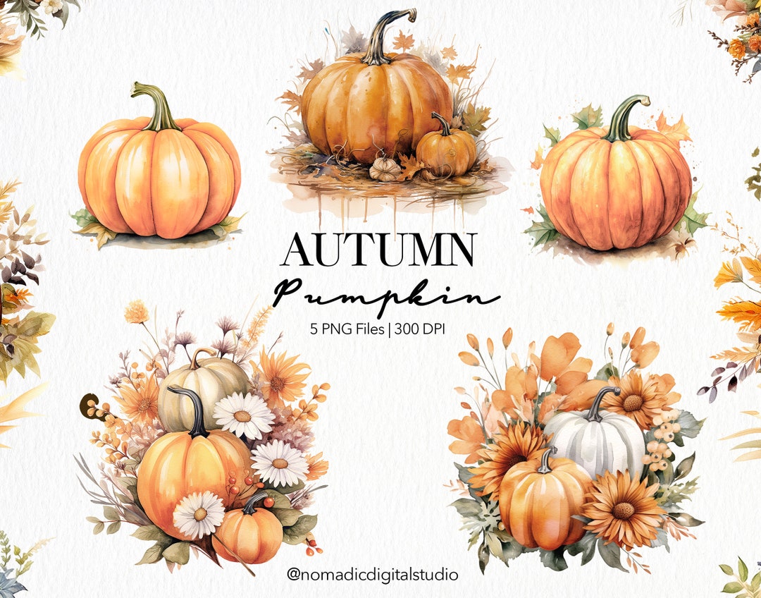 Floral Pumpkin Watercolor Clipart, Boho Fall Clipart, Fall Pumpkin ...