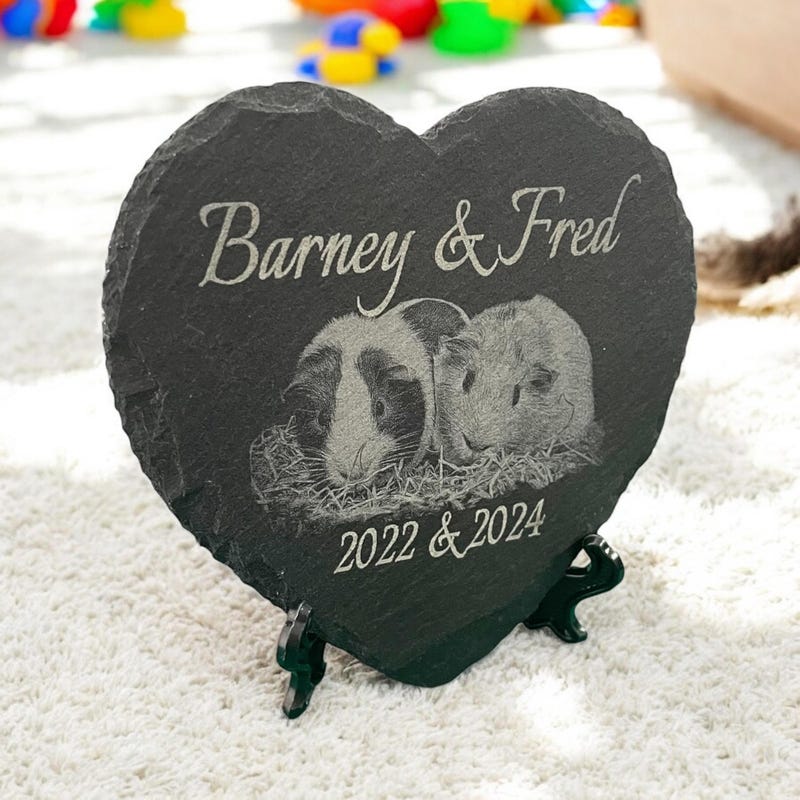 Guinea Pig Gift Memorial - 60+ Gift Ideas for 2025