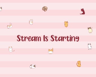 Cute Cat Full Stream Package Animated Screen Transition - Etsy
