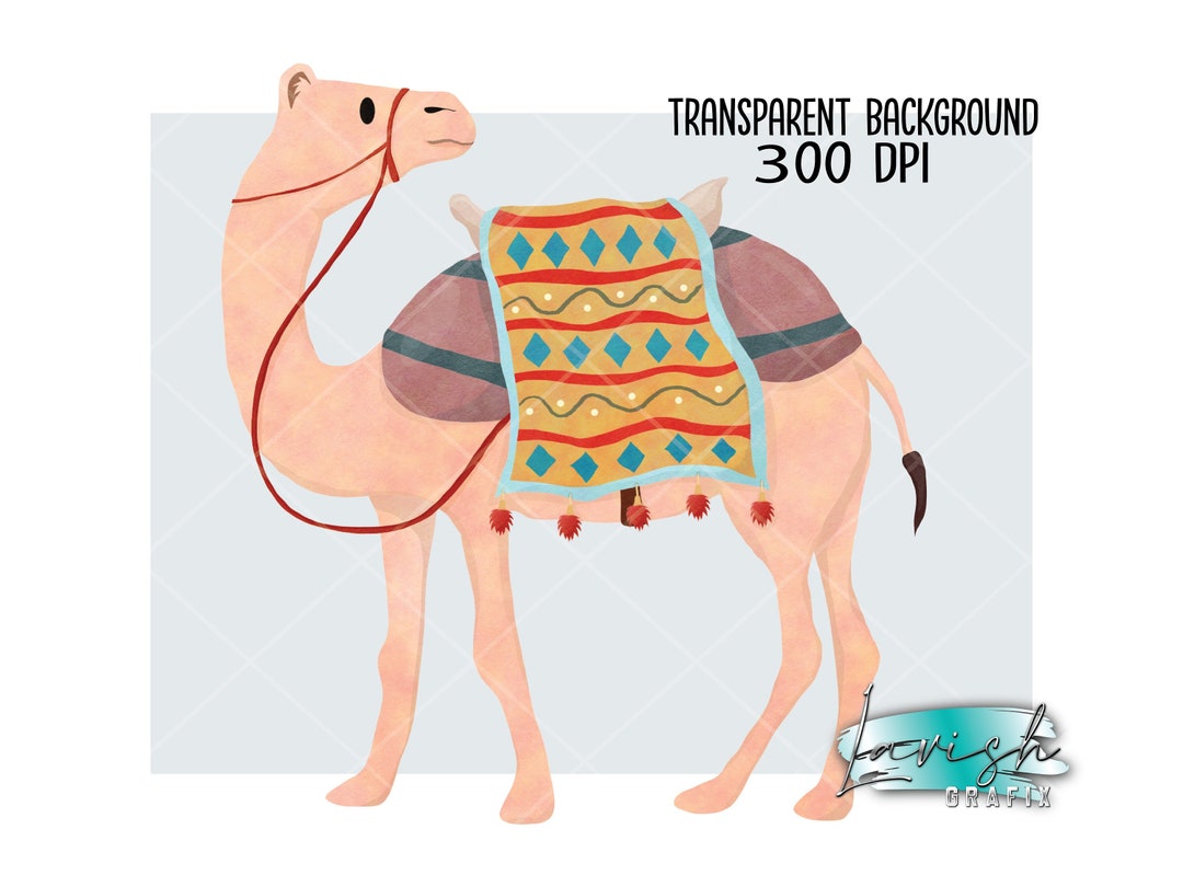 Camel PNG, Instant Download, Digital, Sahara, Desert, Cute Animals ...