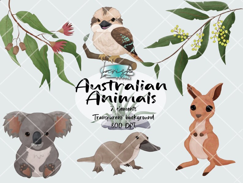 Australian Animals Clipart PNG Digital Download 300 DPI - Etsy Australia