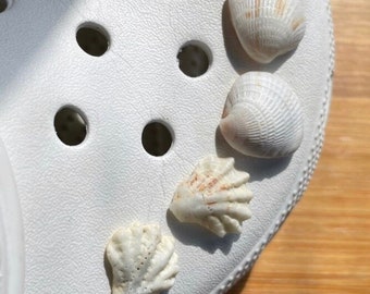 Seashell Shoe Charms - Etsy
