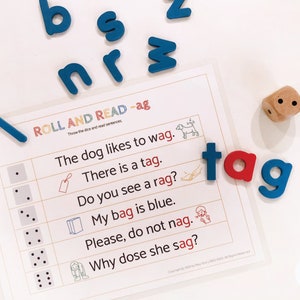 Word Family -at, -an, -ag, -ap, CVC Reading Game, Beginning Phonics ...