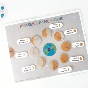 Phases of the Moon Puzzle, Moon Phases Print, Homeschool Activity ...