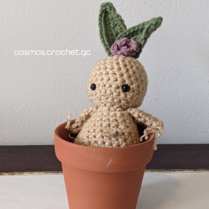 Mandrake Crochet Pattern, Wizard Plant Amigurumi, Magical Crocheting ...