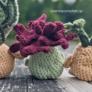 Crochet Cornflower Pattern, Flower Crochet Tutorial, DIY Crochet ...