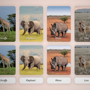 AFRICAN ANIMALS Who Am I Nomenclature Cards Riddles - Etsy