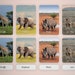 AFRICAN ANIMALS Who Am I Nomenclature Cards Riddles - Etsy