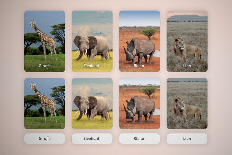 AFRICAN ANIMALS Who Am I Nomenclature Cards Riddles - Etsy