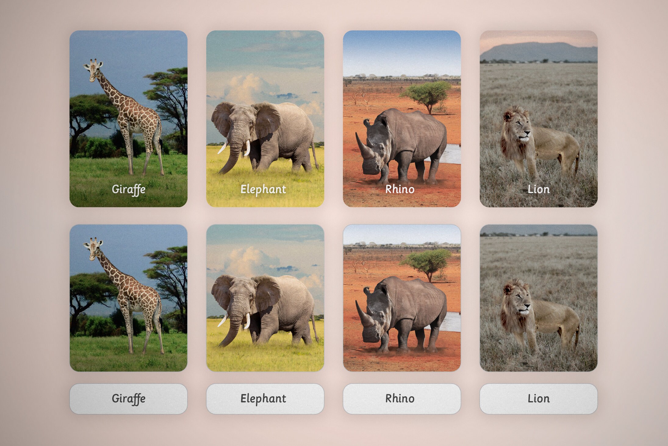 AFRICAN ANIMALS Who Am I Nomenclature Cards Riddles - Etsy