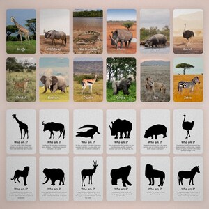 AFRICAN ANIMALS Who Am I Nomenclature Cards Riddles - Etsy
