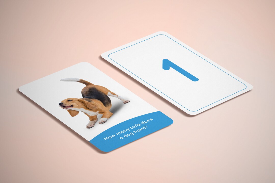 NUMBERS Math Quantities Flashcards Preschool Educational Materials - Etsy