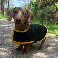 Cockapoo Waterproof Dog Overall: Custom Reflective Raincoat With Snood ...