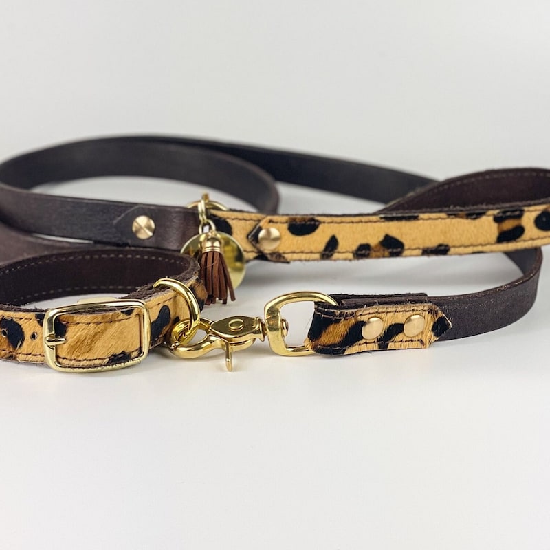 Leopard Dog Collar - Etsy