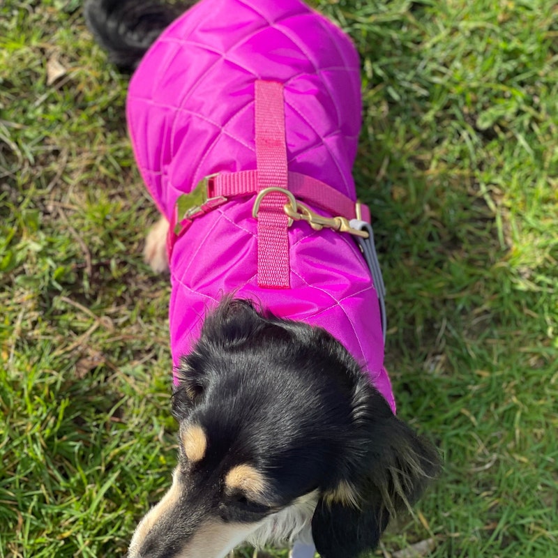 Dachshund Jacket Quilted - Etsy UK