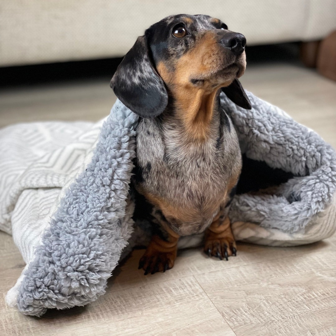 Snuggle Sack, Dachshund Snuggle Bed - Etsy