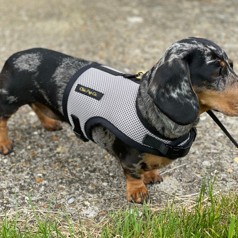 Miniature Nash - Etsy UK