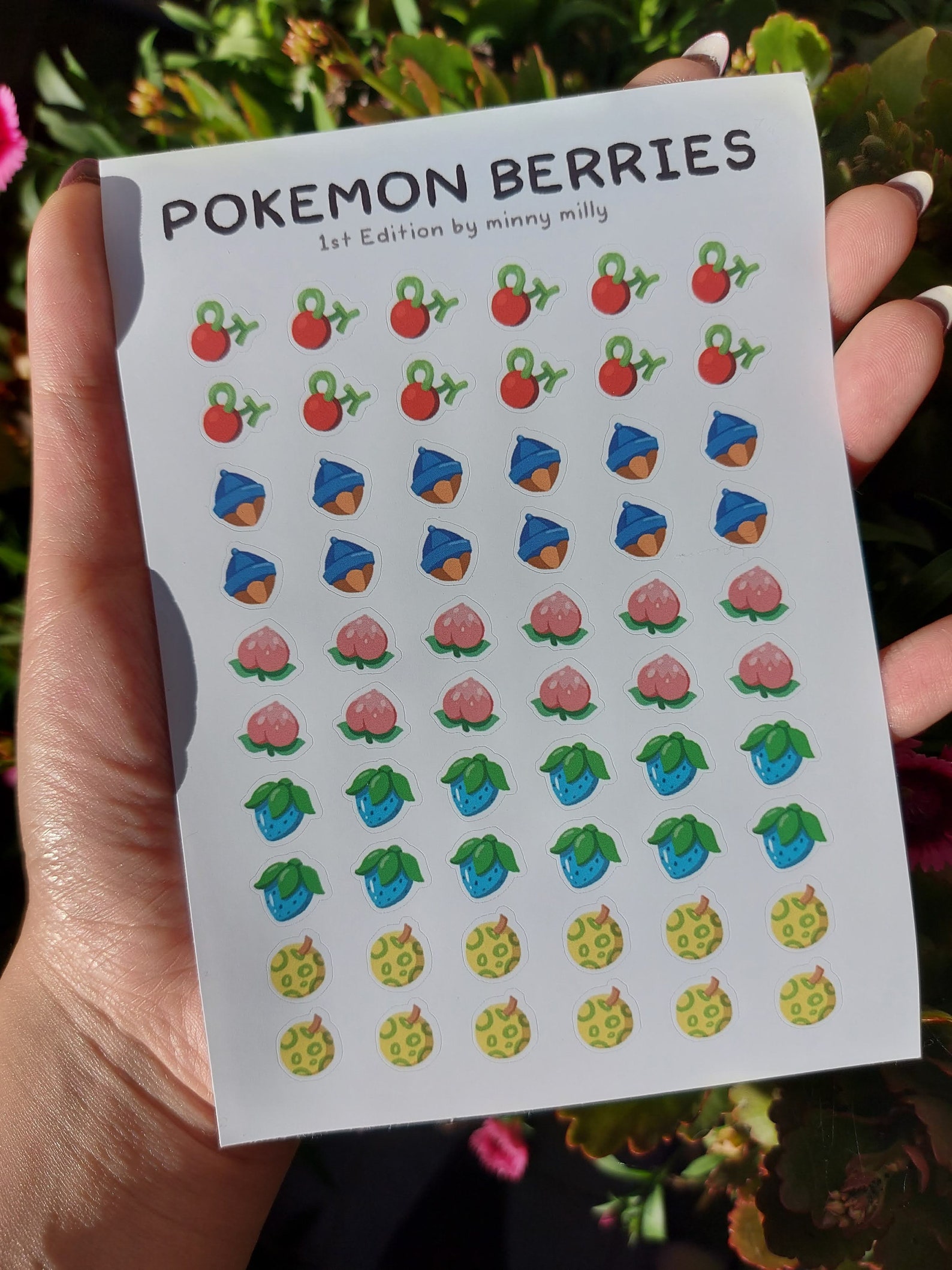 Pokemon Berries: First Edition - Etsy