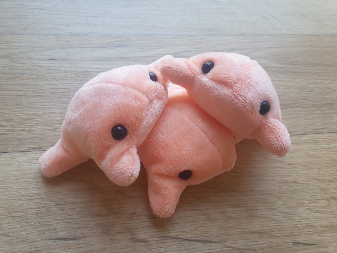 Salmon Peachy Baby Bean Frog. Baby Bean Froggy Friend. Stress Relief ...