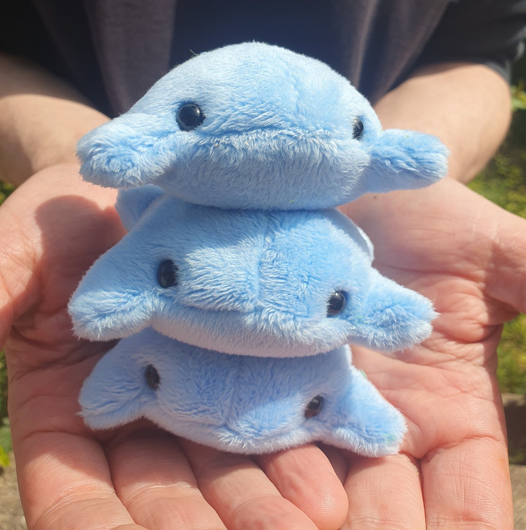 Sky Blue Baby Blue Baby Bean Frog. Baby Bean Froggy Friend. Stress ...