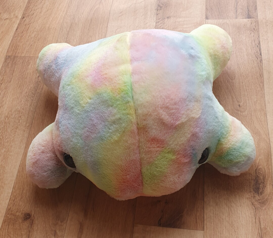 Handmade Rainbow Tyedye Faux Fur Frog Cushion - Etsy UK