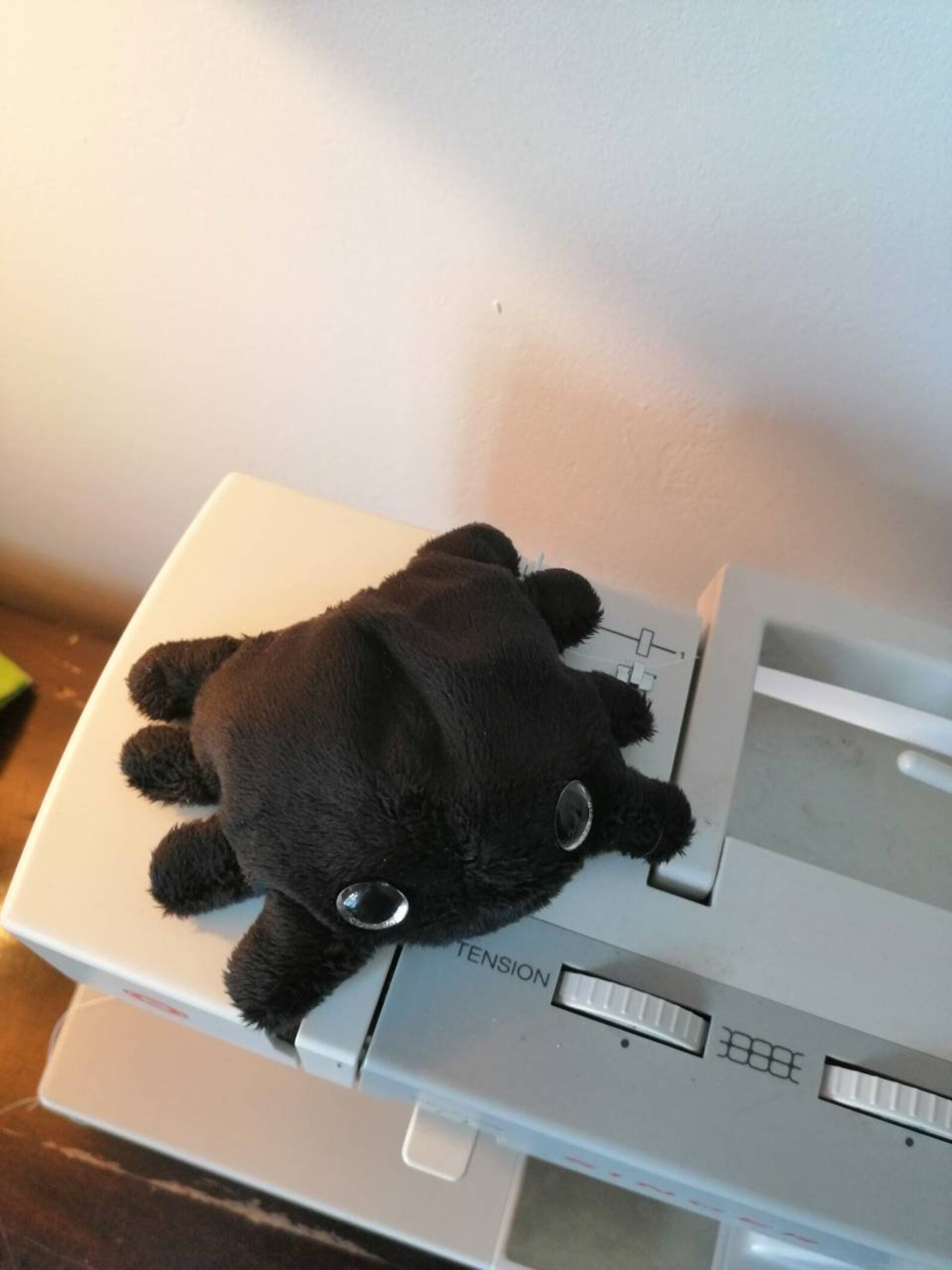 Tarantula Spider Cute Fluffy Spider Bean. Bean Bag Spider. - Etsy