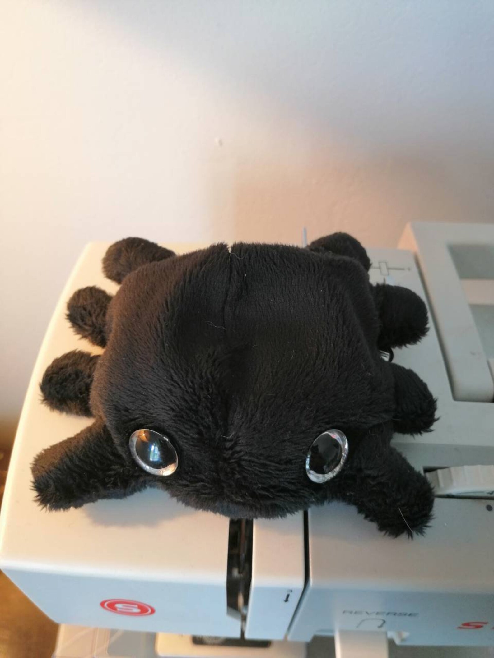 Tarantula Spider Cute Fluffy Spider Bean. Bean Bag Spider. - Etsy