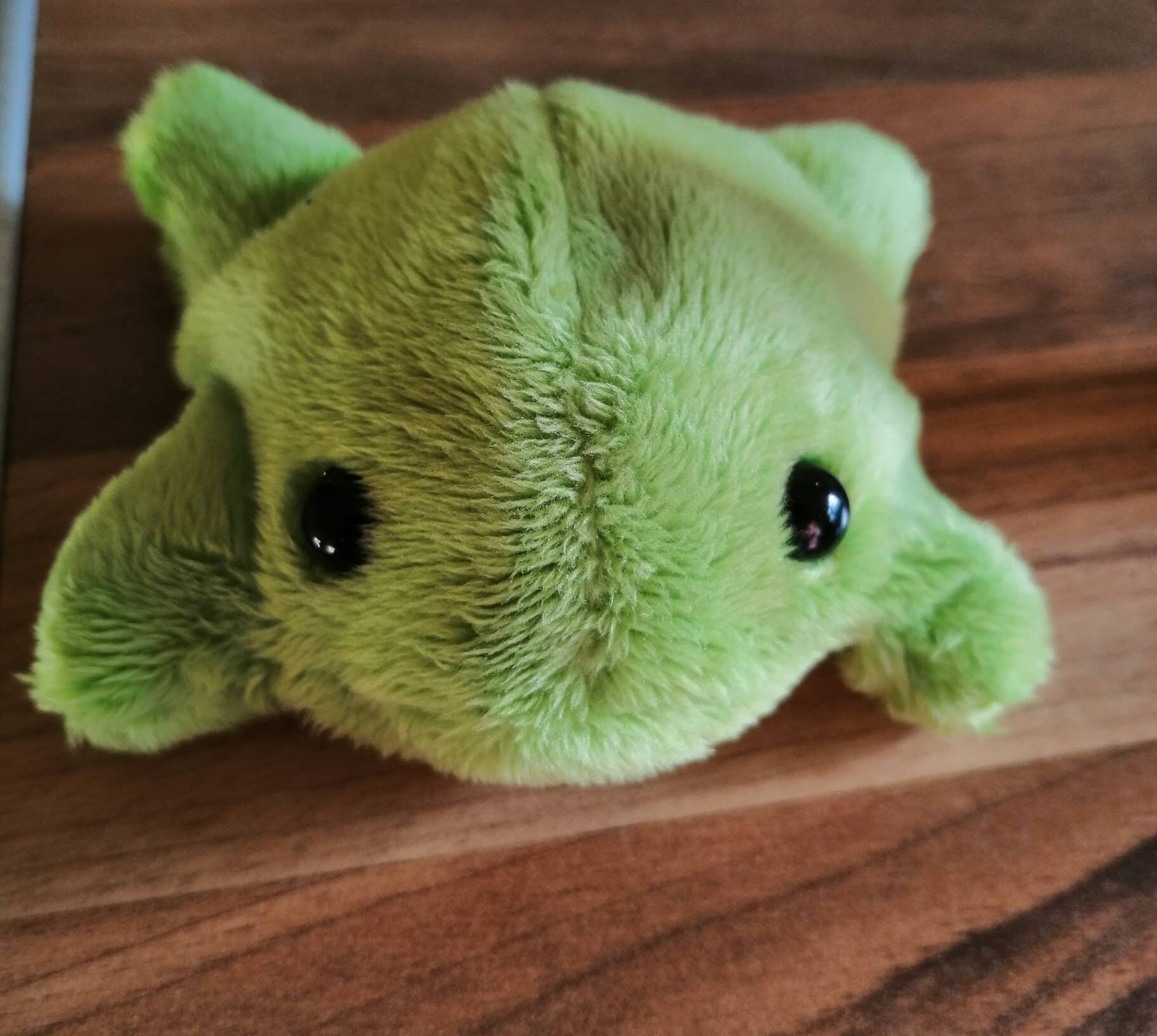 Baby Bean Frog. Cute Soft Fluffy Frog Filled With Plastic - Etsy
