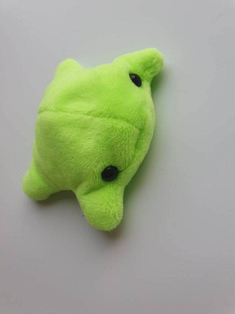 Neon Green Baby Bean Frogs. Cute Handmade Bean Filled Froggy - Etsy