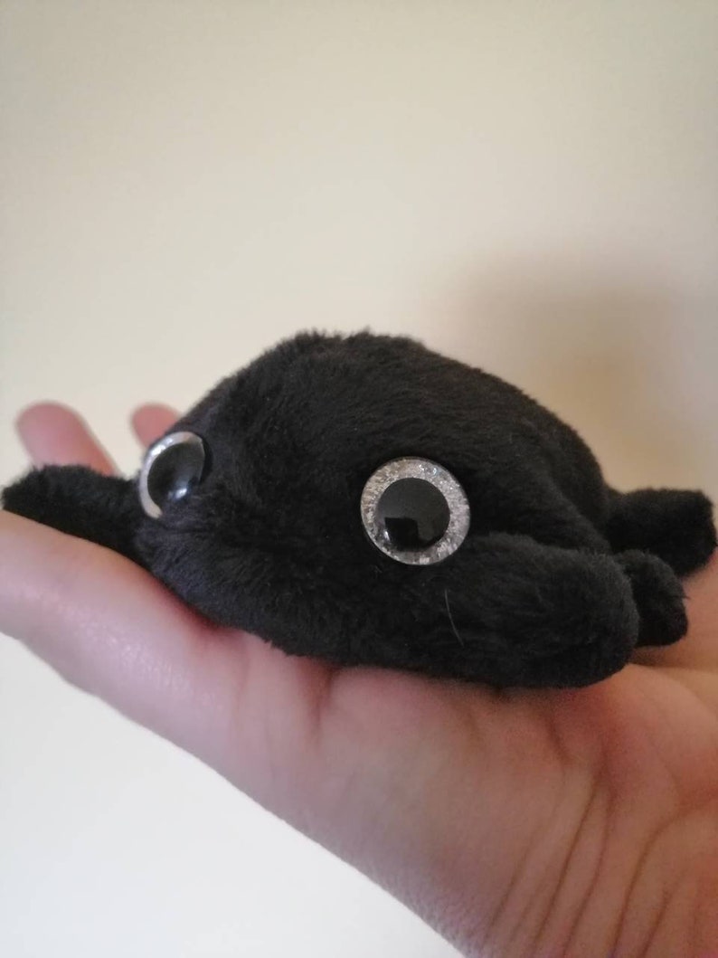 Tarantula Spider Cute Fluffy Spider Bean. Bean Bag Spider. - Etsy