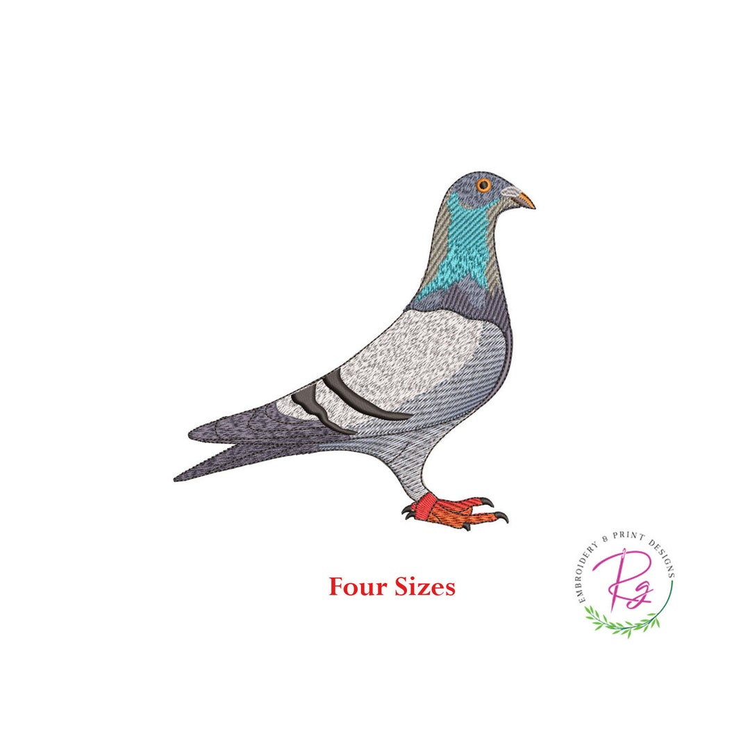 Style Pigeon Embroidery Design / Embroidery Design / Bird Embroidery ...