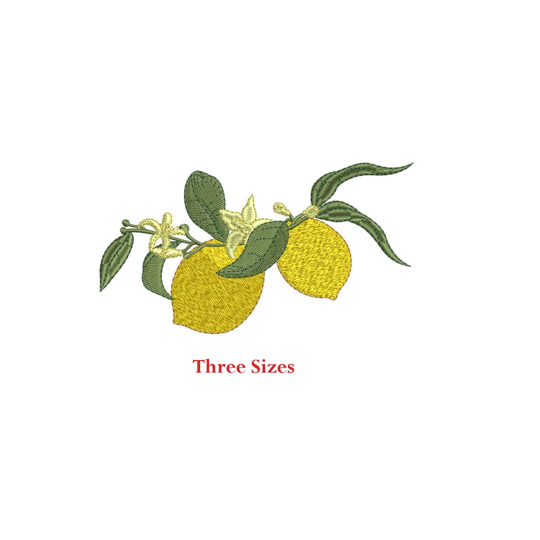 Lemon With Flower Frame Machine Embroidery Design / Lemon Frame / Lemon ...
