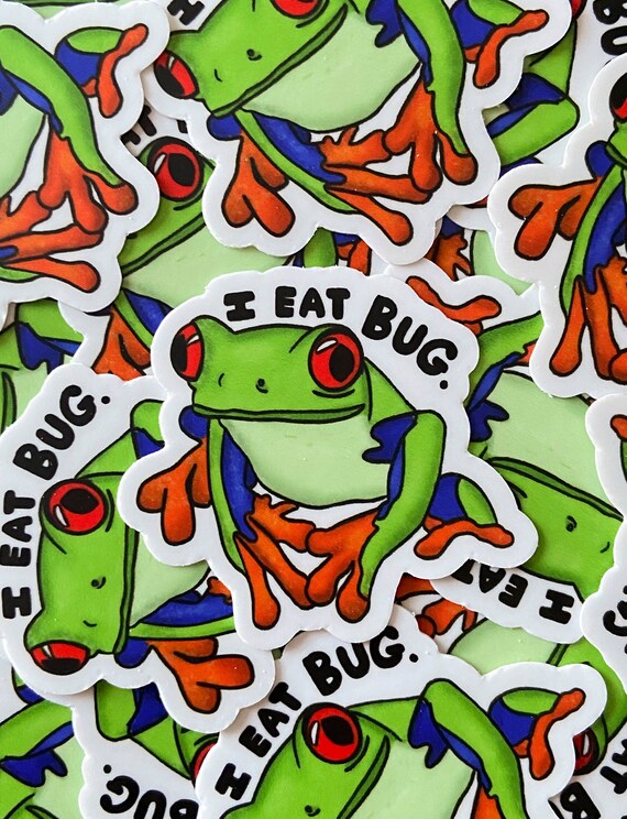 Frog Eating Bug