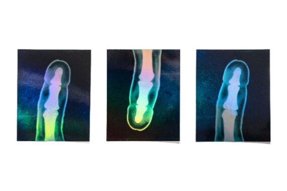 Boner X-ray Sticker 3 Pack 3 Pack of Stickers Pack of 3 | Etsy
