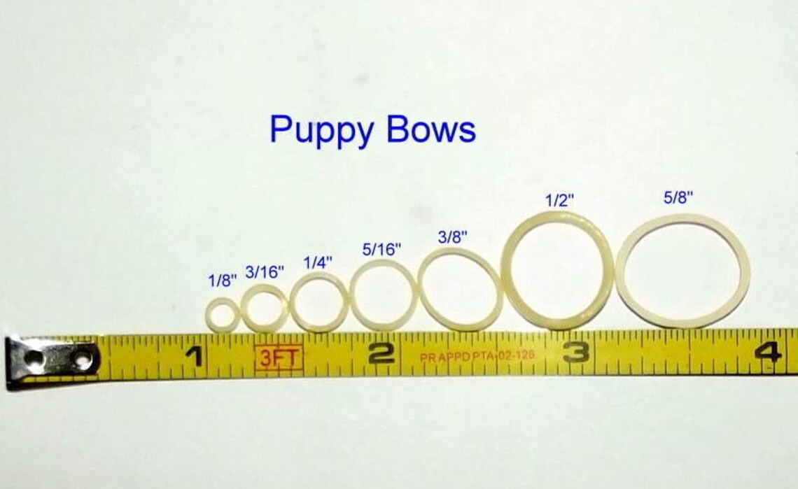 Puppy Bows ~ Neon Chicken Leg Bands Chick Craft Bands ~elastic Band ...