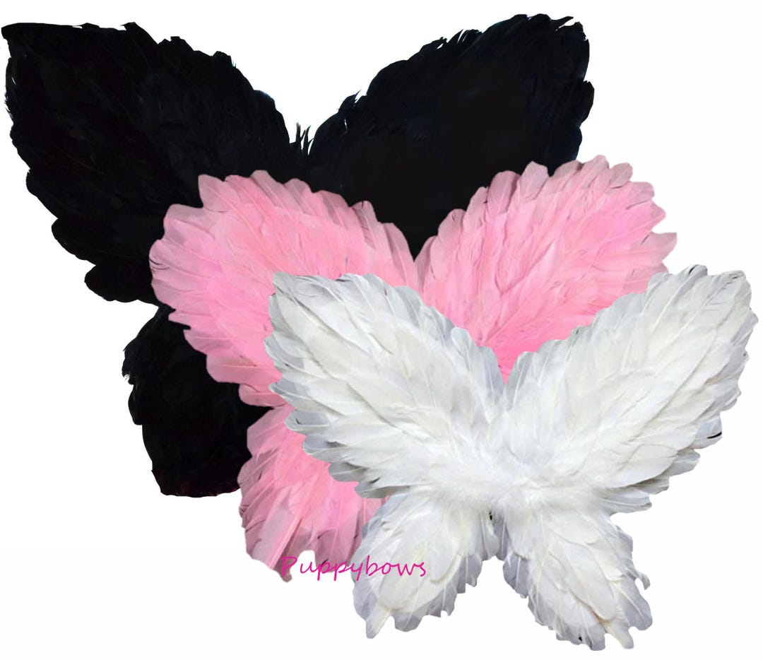 Halloween Fluffy Butterfly Wings for Dogs Black White Pink Dog Costume ...