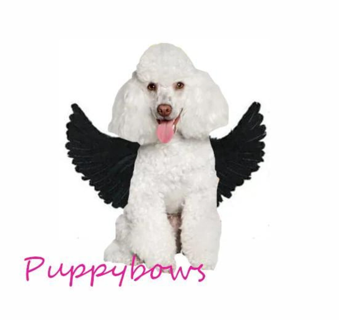 Halloween White Angel Wings for Dogs 45-95lbs Dog Costume Feather Large ...