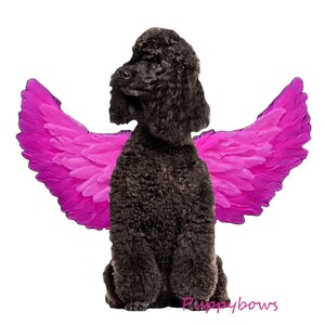 Halloween White Angel Wings for Dogs 45-95lbs Dog Costume Feather Large ...