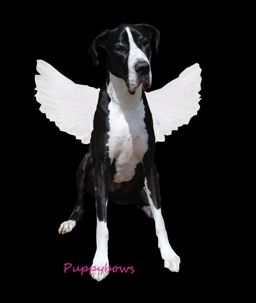 Halloween White Angel Wings for Dogs 45-95lbs Dog Costume Feather Large ...