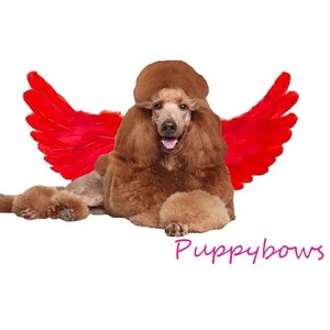 Halloween White Angel Wings for Dogs 45-95lbs Dog Costume Feather Large ...