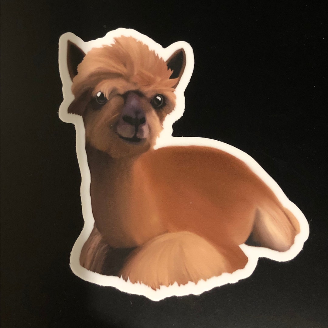 Alpaca Sticker, Illustrated Sticker, Illustrated Alpaca Sticker ...