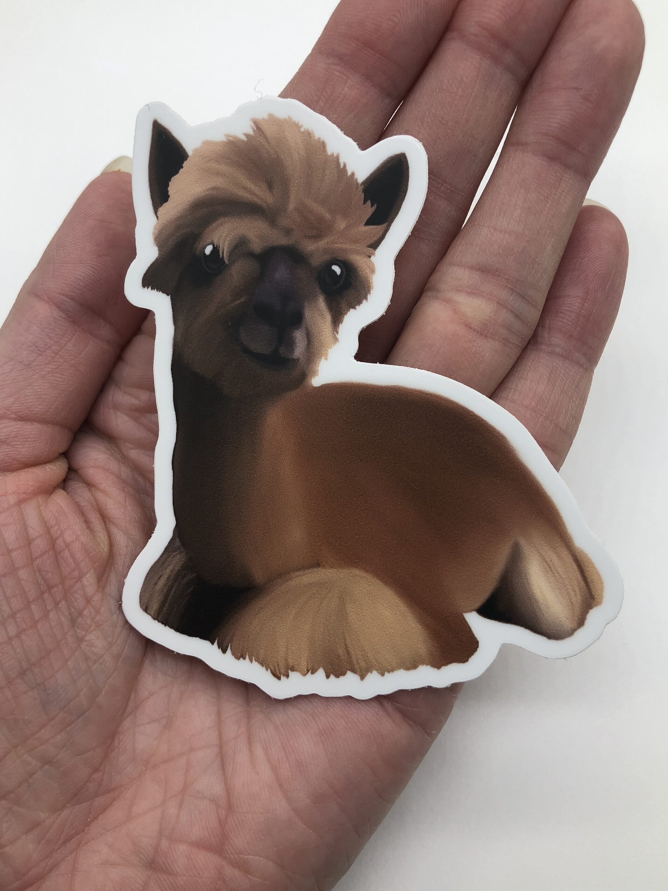 Alpaca Sticker, Illustrated Sticker, Illustrated Alpaca Sticker ...