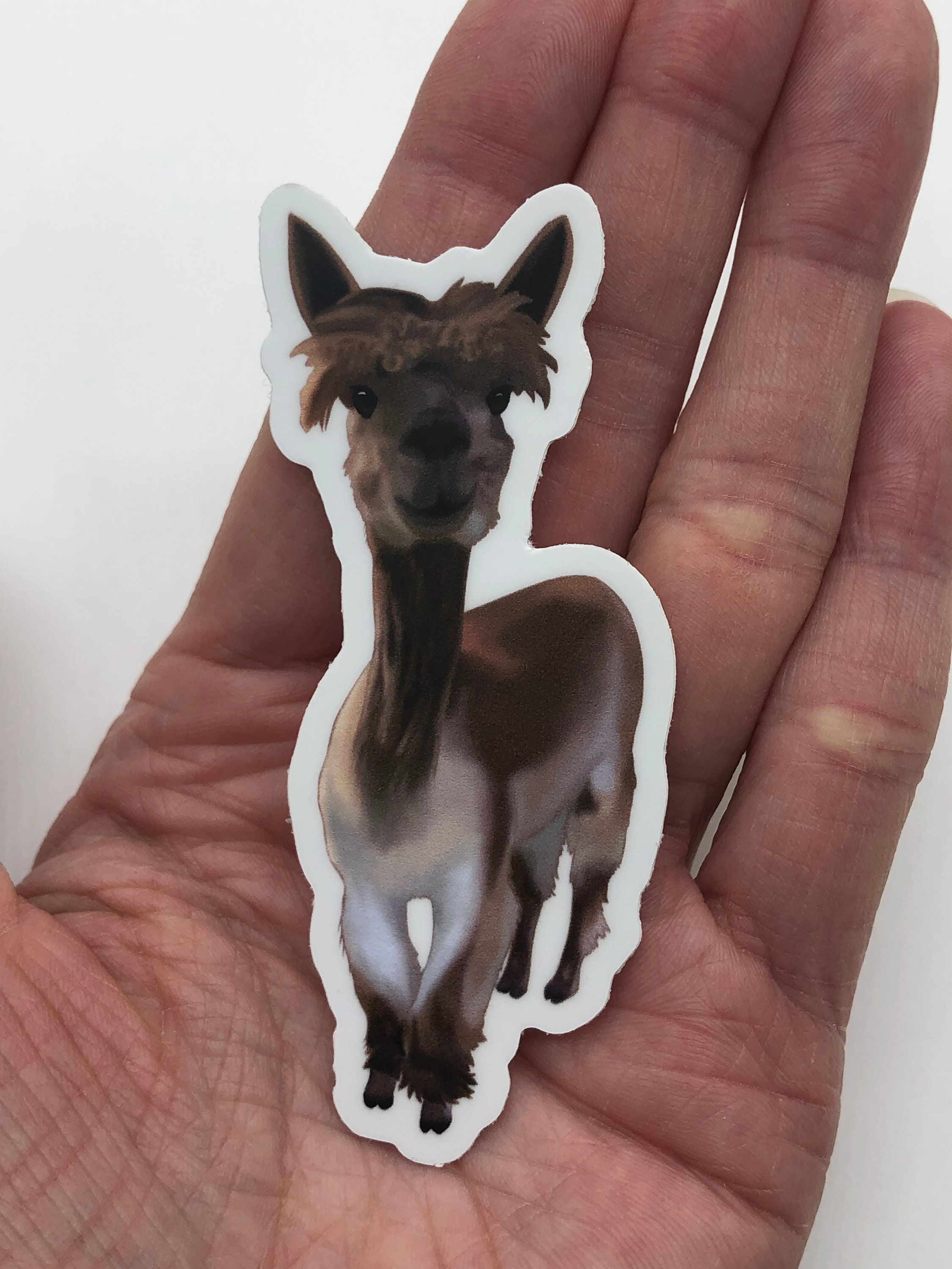 Alpaca Sticker, Illustrated Sticker, Illustrated Alpaca Sticker ...