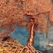 Copper Wire Tree about 450mt on a Wooden Stand - Etsy