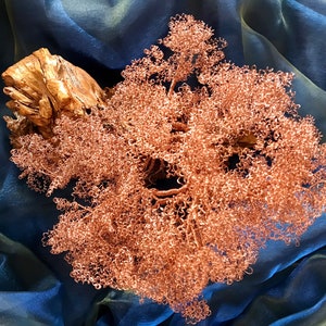 Copper Wire Tree (about 450mt) on a Wooden Stand - Etsy