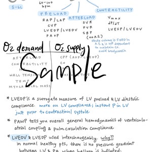 Cardiac Anatomy, Monitoring, Anesthesia Notes - Etsy