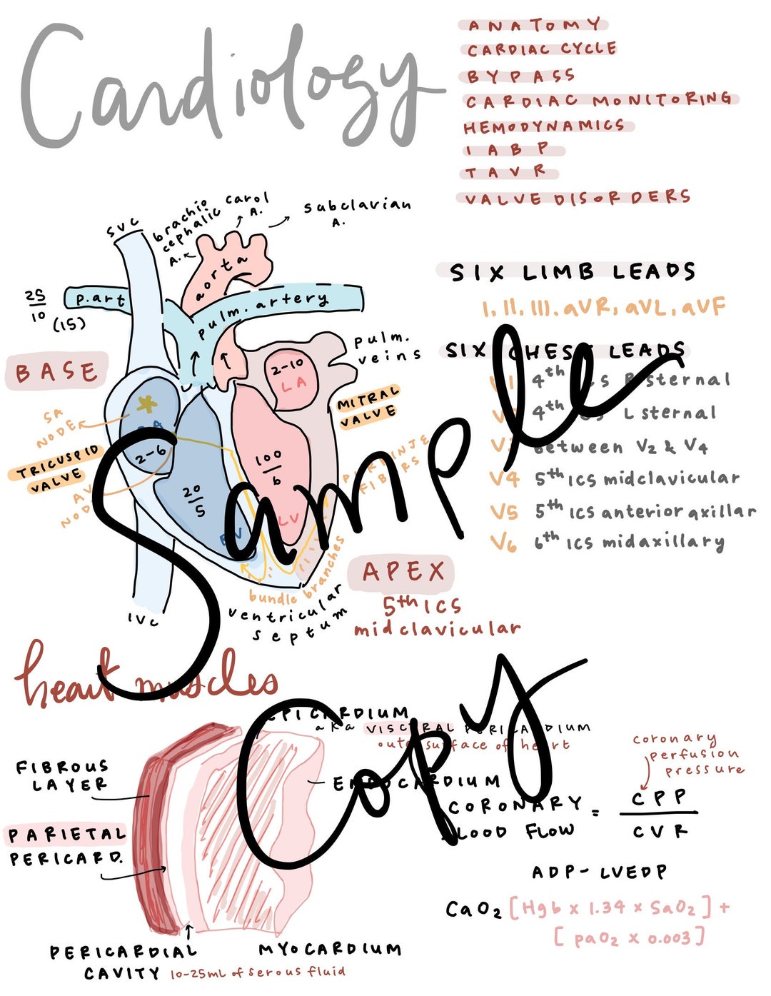 Cardiac Anatomy, Monitoring, Anesthesia Notes - Etsy