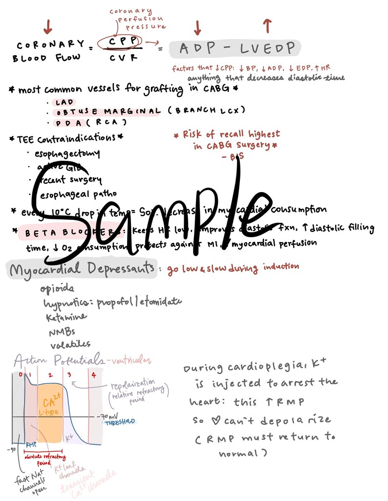 Cardiac Anatomy, Monitoring, Anesthesia Notes - Etsy